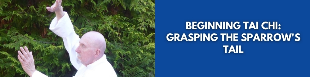 Beginning Tai Chi: Grasping the Sparrow's Tail | Continuing Education